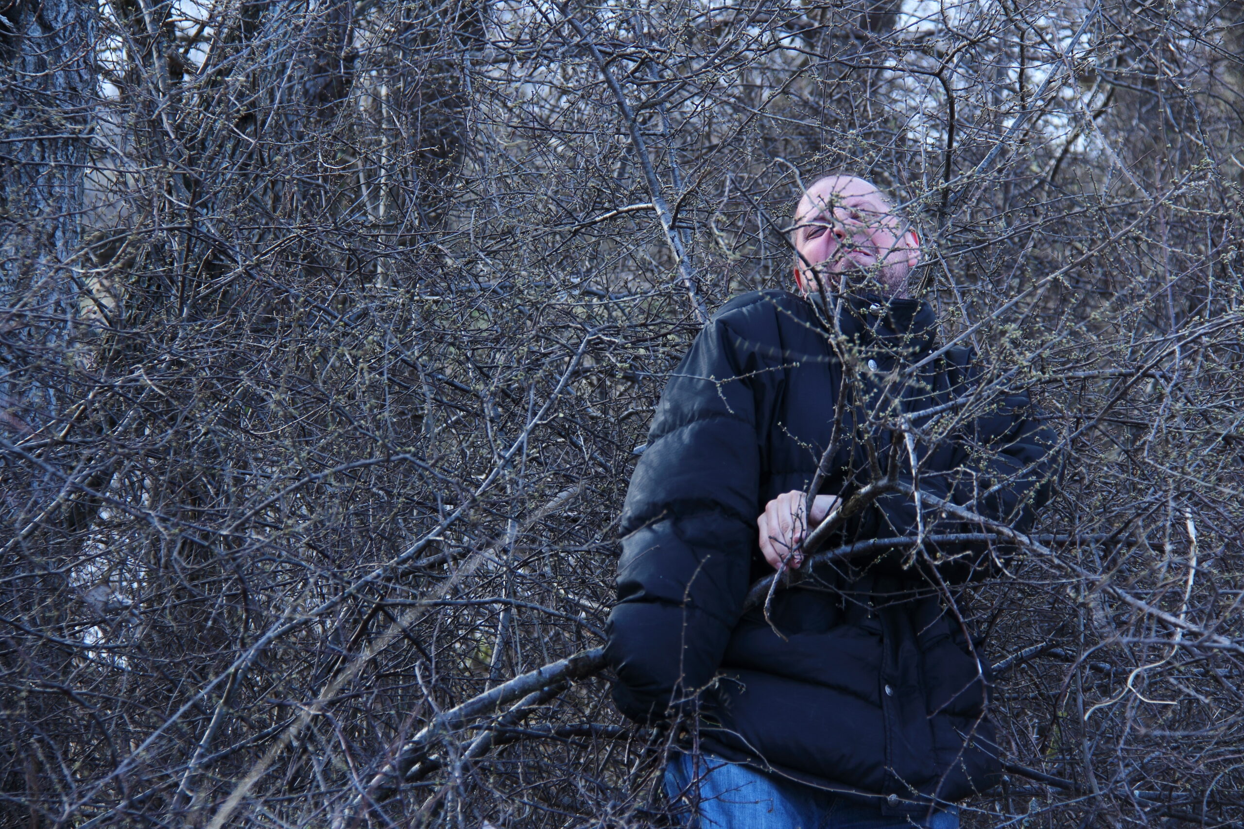 Dagens pose: Risig – Tornevalls