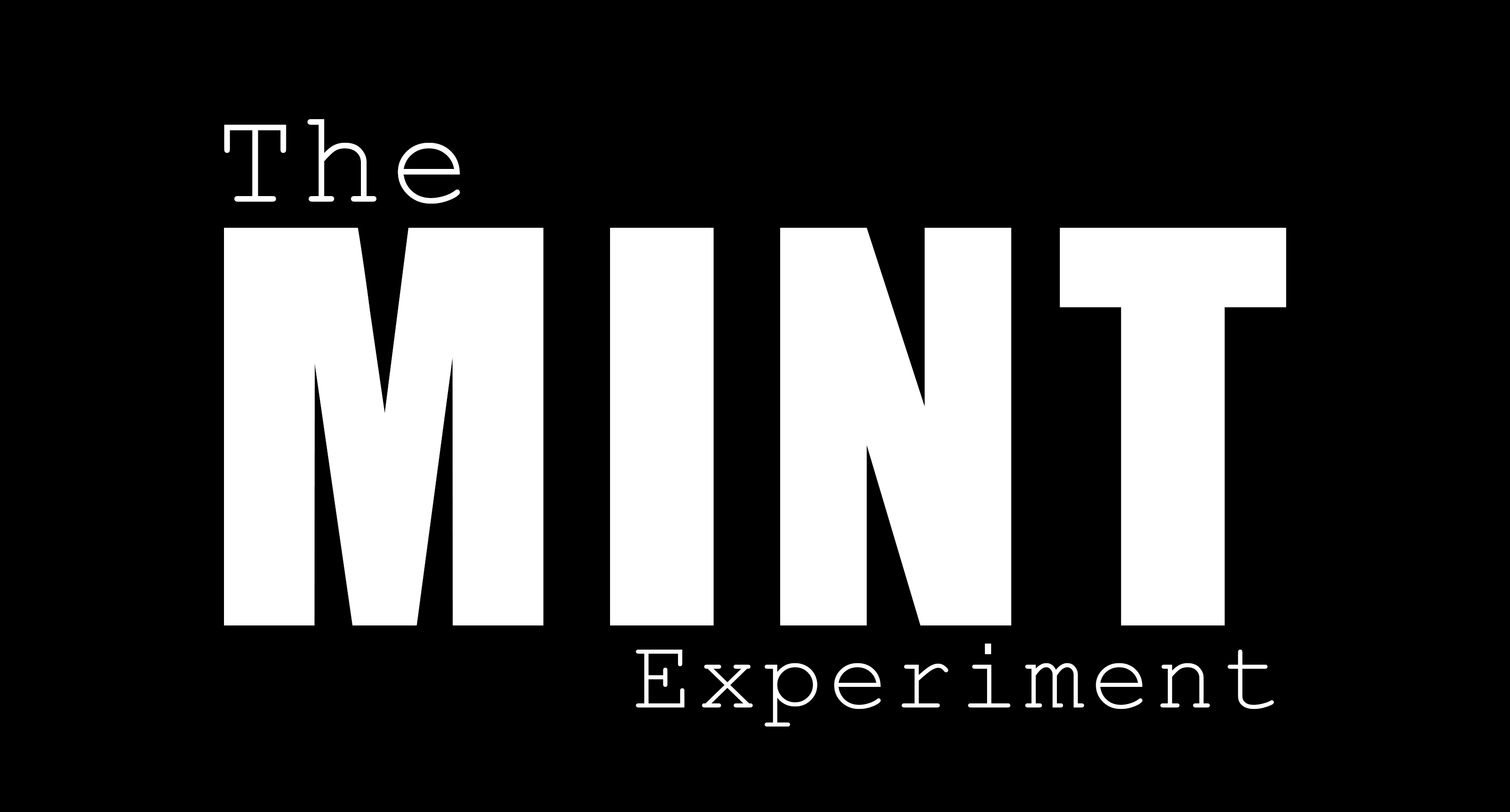 The MINT Experiment Story – Tornevalls